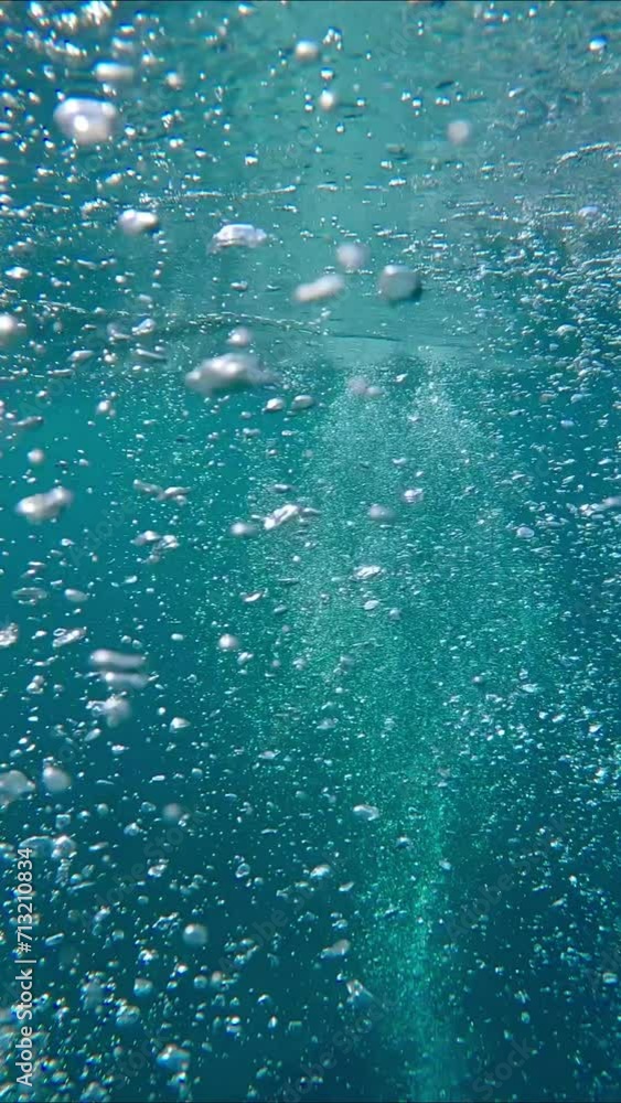 Vidéo Stock Vertical video, Air bubbles rise up to surface, slow motion ...