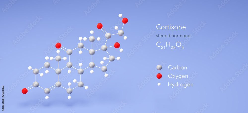 cortisone molecule, molecular structures, steroid hormone, 3d model ...