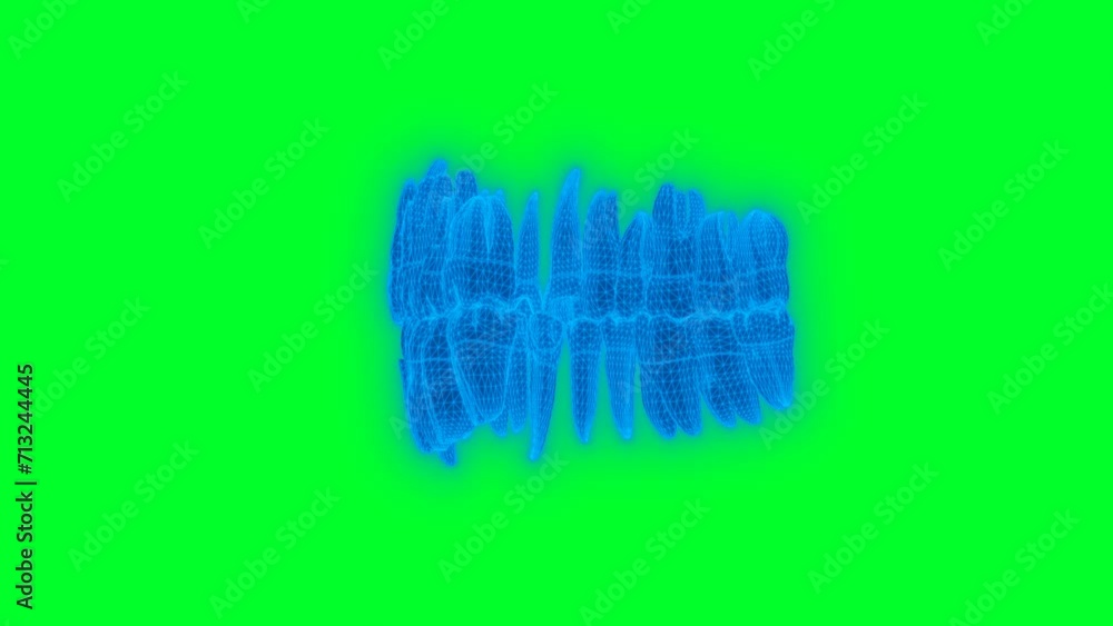 4k Anatomy Tooth green screen technology video. Anatomy Tooth ...