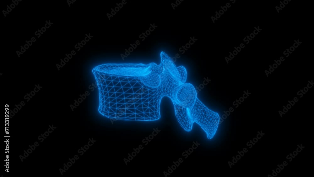 4k Human toracic vertebra T-10 technology video, Human toracic vertebra ...