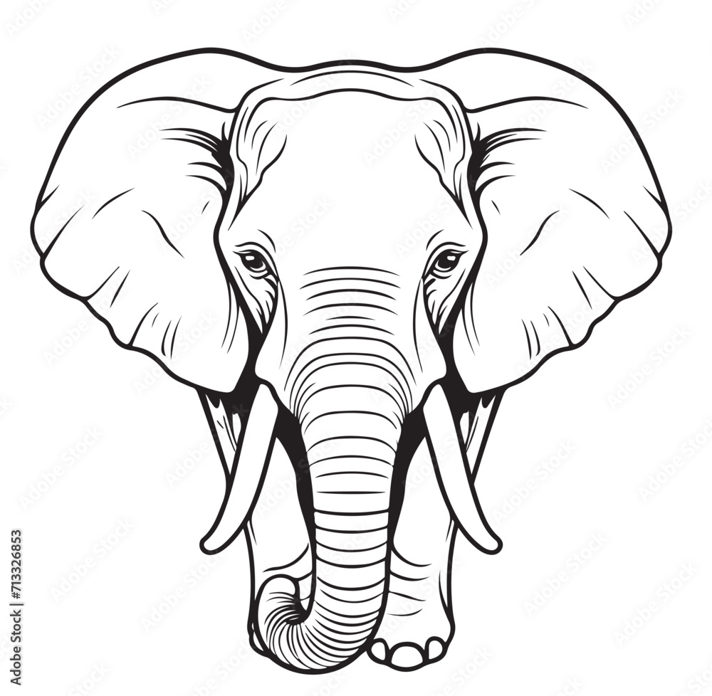 Elephant Cartoon , hand drawn wild animal illustration, Isolated Vector ...