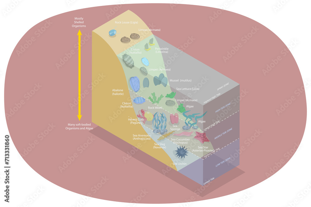 3D Isometric Flat Conceptual Illustration of Scheme With Spray And ...