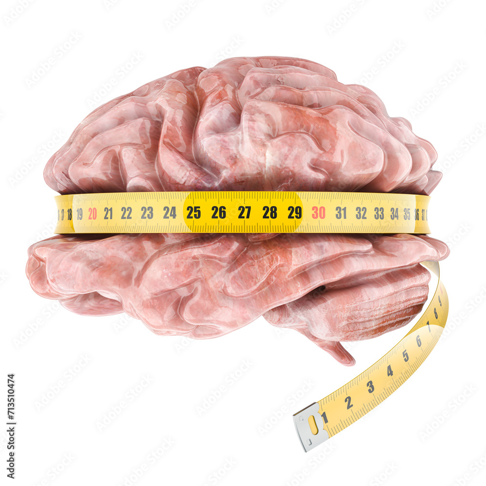 Human brain with measure tape around. 3D rendering isolated on ...