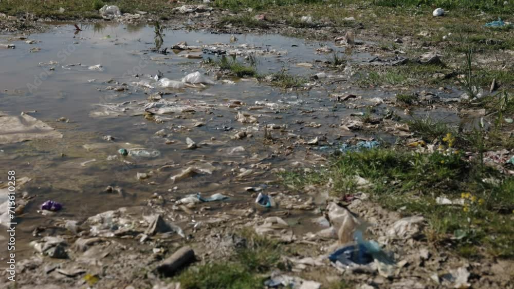 Water pollution, Natural habitats, Pollution consequences. Pond and its ...