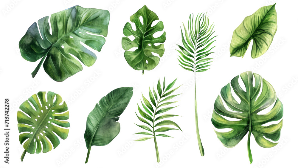 Set Collection Watercolor tropical leaves Modern green tropical leaves ...