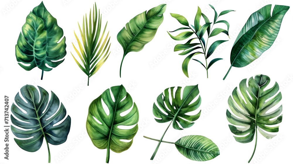 Set Collection Watercolor tropical leaves Modern green tropical leaves ...