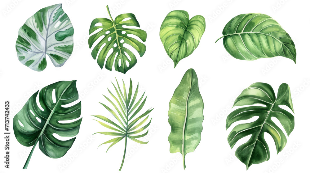 Set Collection Watercolor tropical leaves Modern green tropical leaves ...