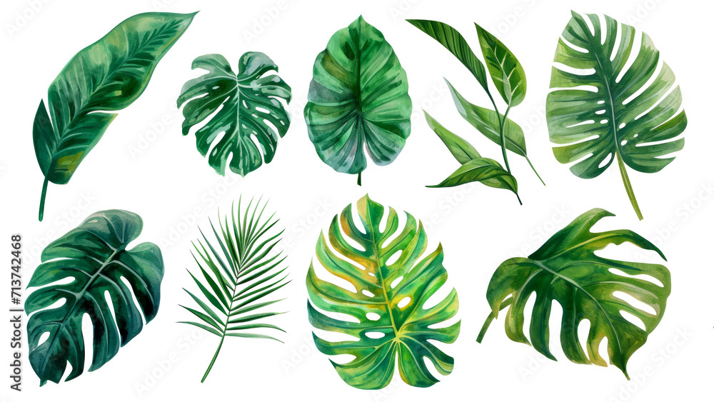 Set Collection Watercolor tropical leaves Modern green tropical leaves ...