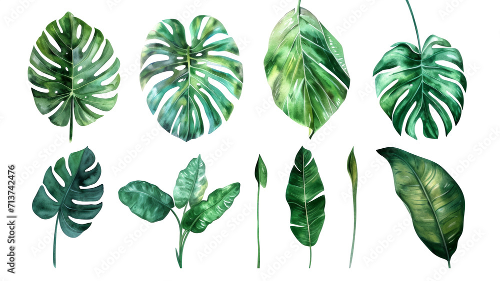 Set Collection Watercolor tropical leaves Modern green tropical leaves ...