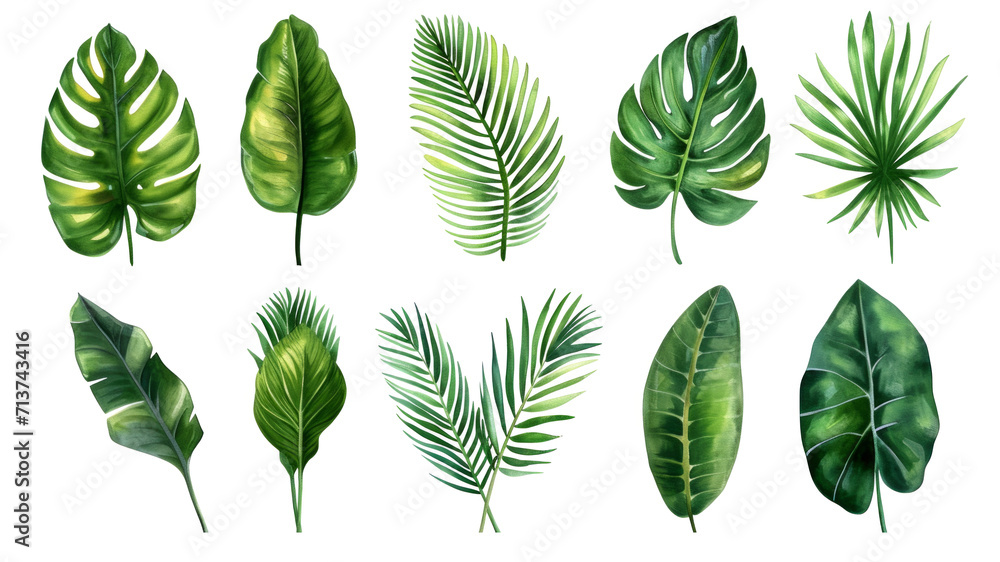 Set Collection Watercolor tropical leaves Modern green tropical leaves ...