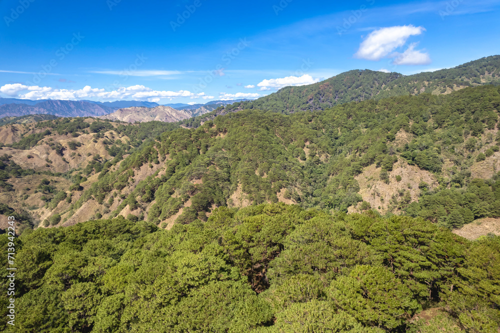 Elevated view of a verdant mountain landscape, dotted with green forest ...