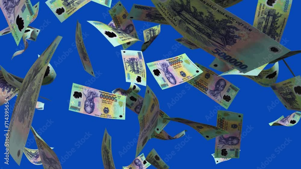 3D animation of Vietnamese dong notes Falling On blue screen. You can ...