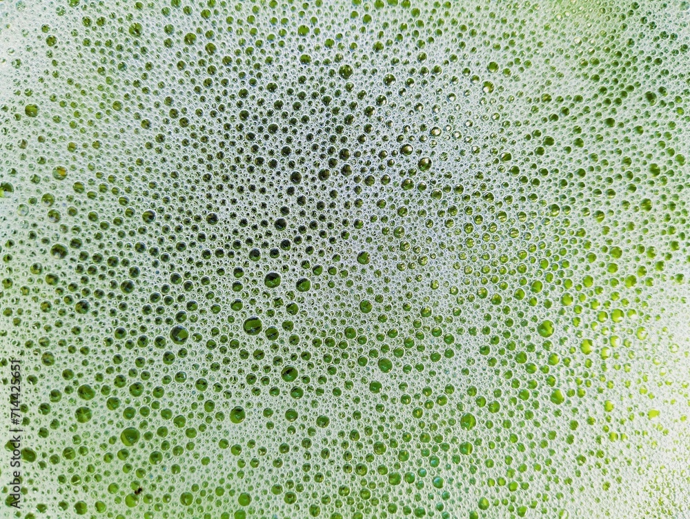 In the picture is a green sponge with small and large bubbles mixed ...