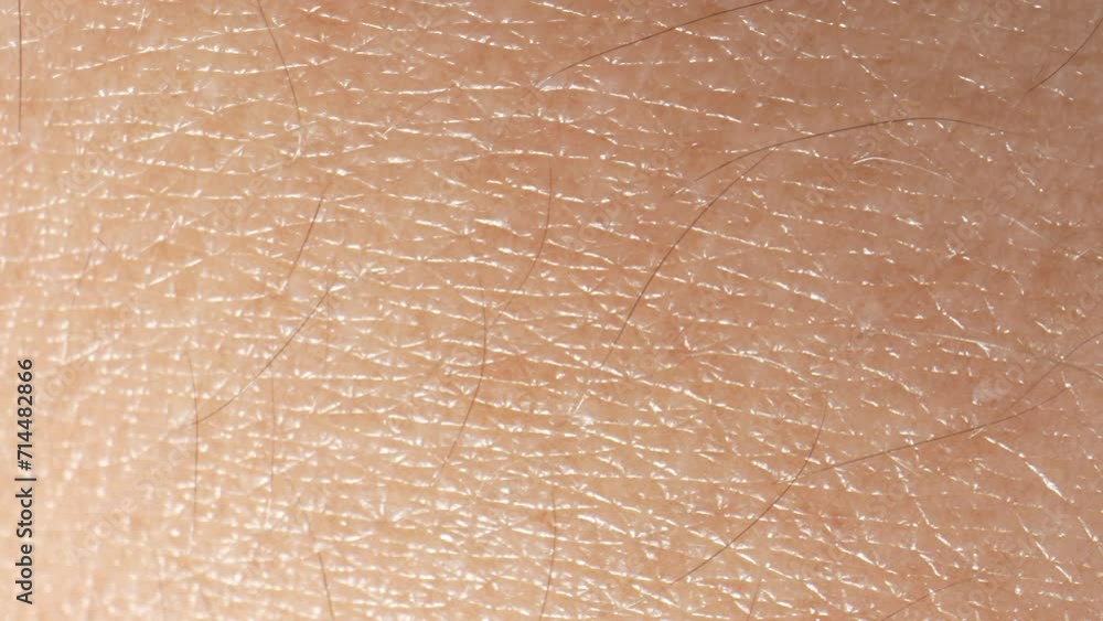 Macro footage unravels the arm's skin in remarkable detail, unveiling ...