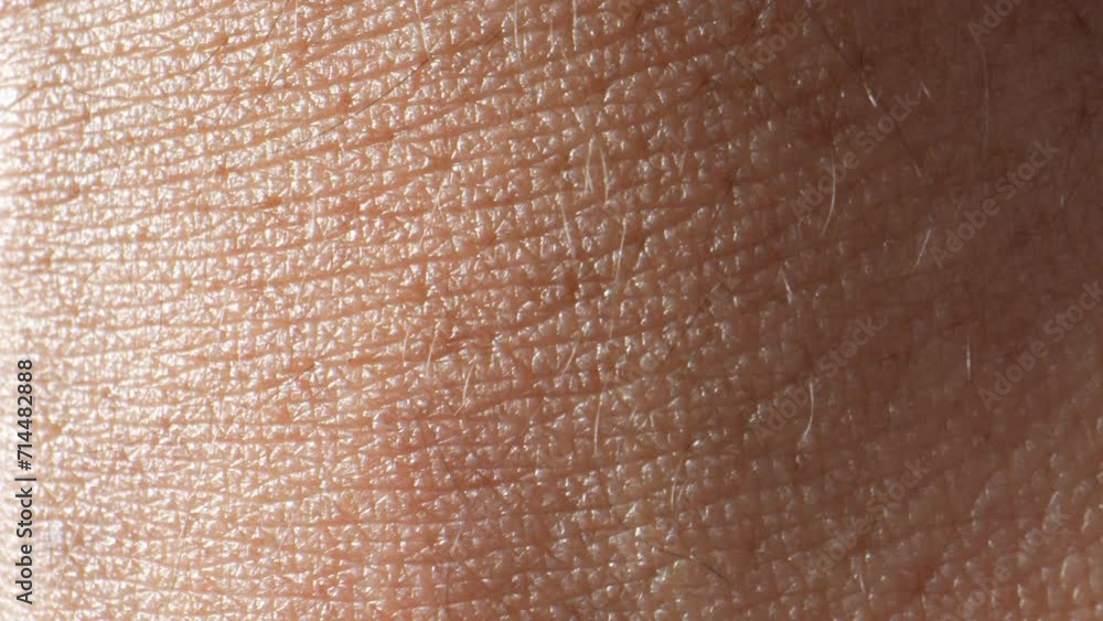Detailed macro video reveals arm surface skin's delicate texture, with ...