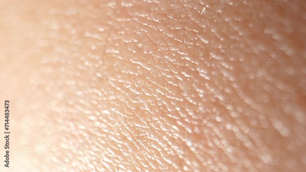 A mesmerizing dance of textures unfolds as the camera dives into the ...