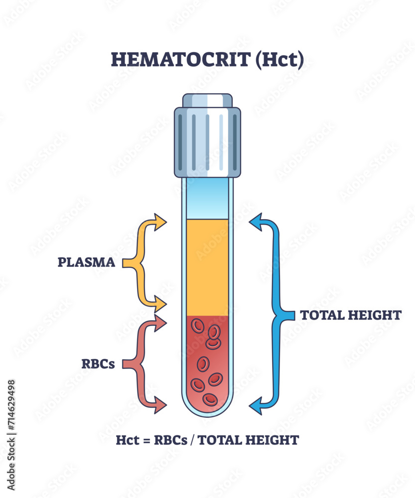Hematocrit or HCT as red blood cells count in sample test outline ...