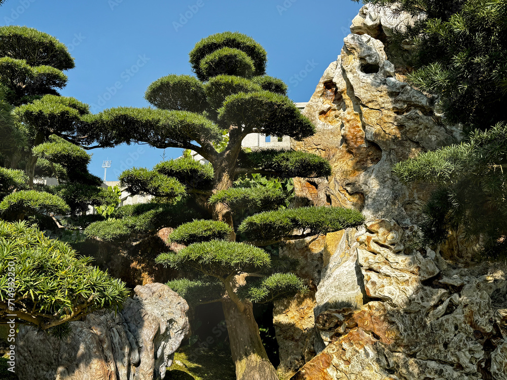 Nan Lian Garden, a truly hidden gem in Diamond Hill area, Kowloon, Hong ...