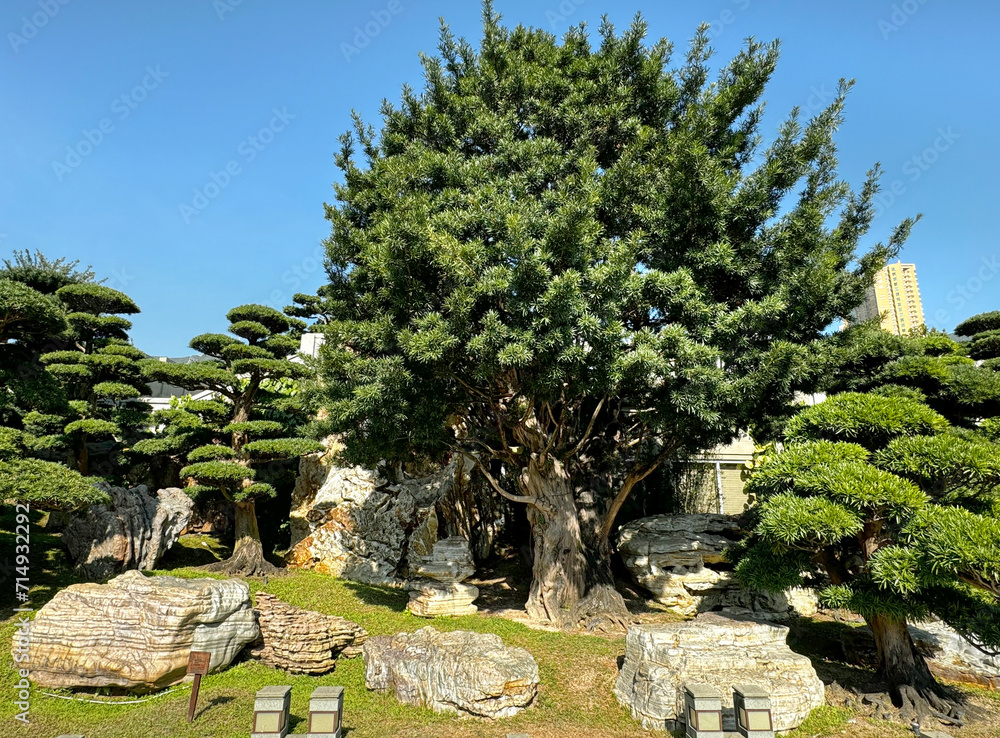 Nan Lian Garden, a truly hidden gem in Diamond Hill area, Kowloon, Hong ...