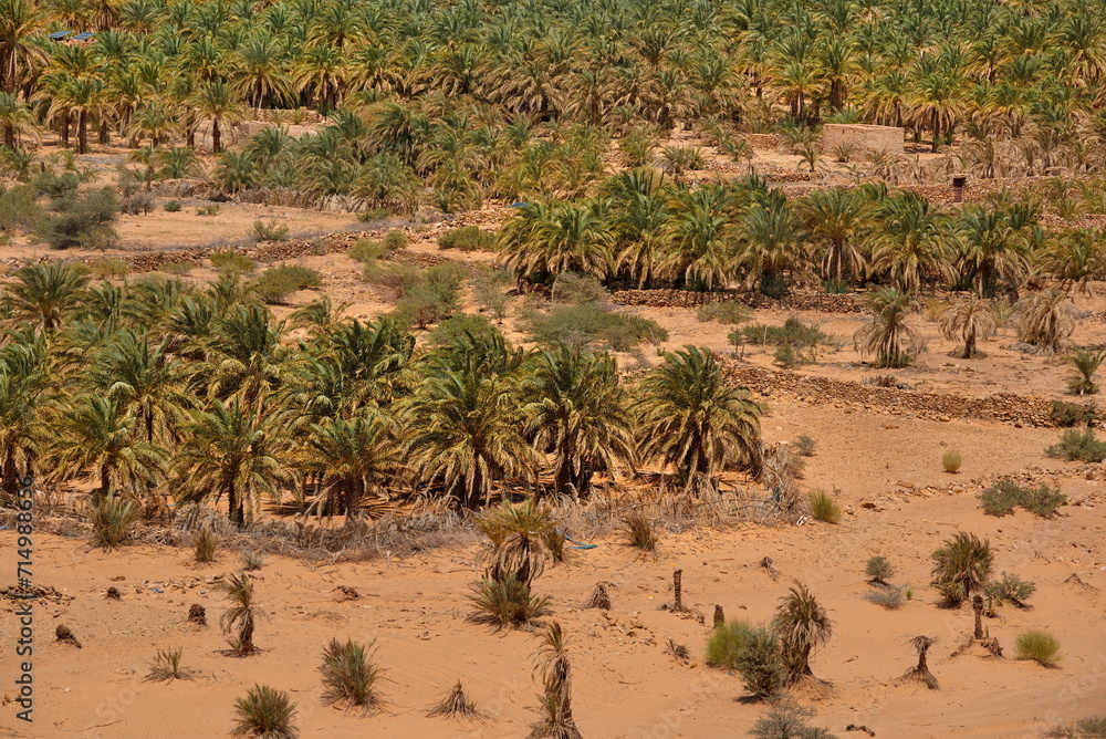 Mhaireth. Mauritania. October 05, 2021. View from the Adrar plateau to ...