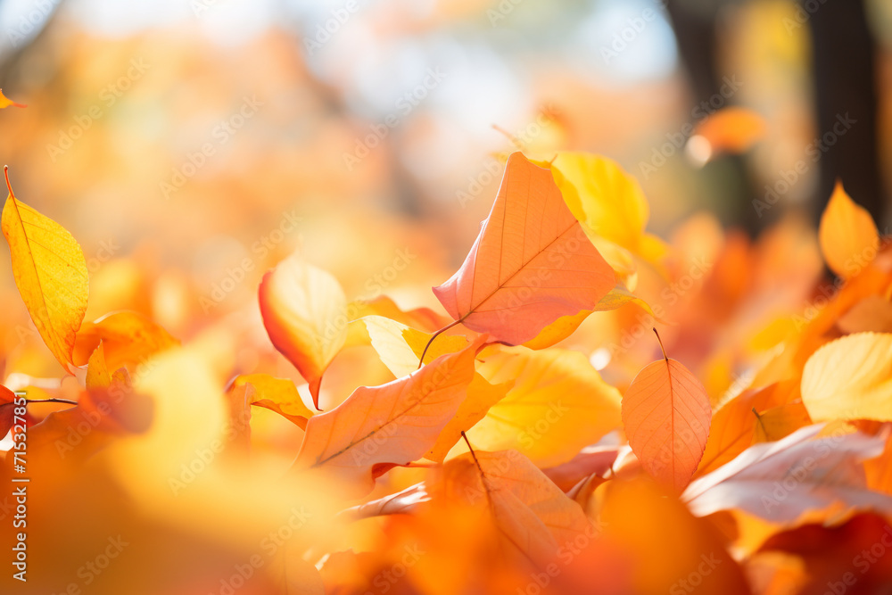 vibrant the dynamic and energetic movement of leaves caught in a strong ...