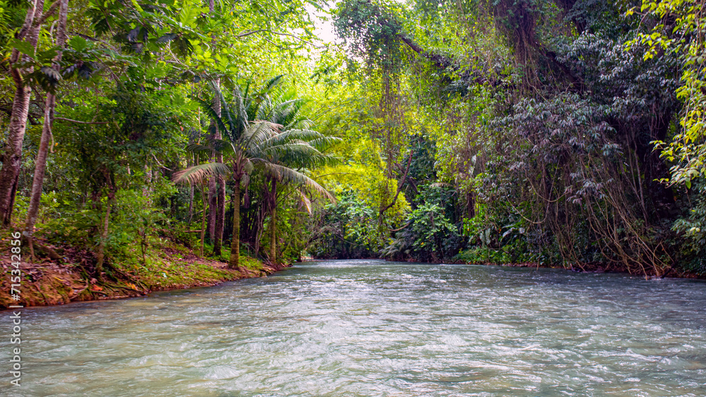 jamaica landscape in carribean sea and wild nature Stock Photo | Adobe ...