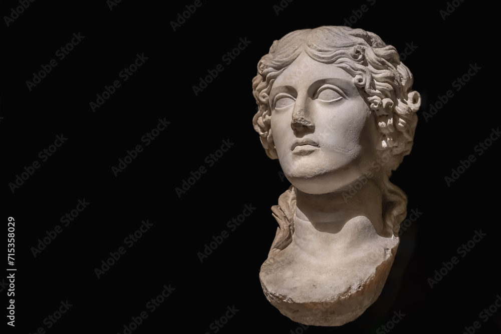 Agrippina the Elder, mother of Caligula. Marble woman head found in ...