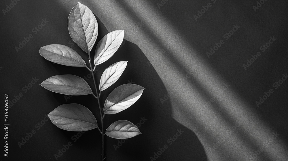 Minimalist interpretation of the interaction between a plant and its ...