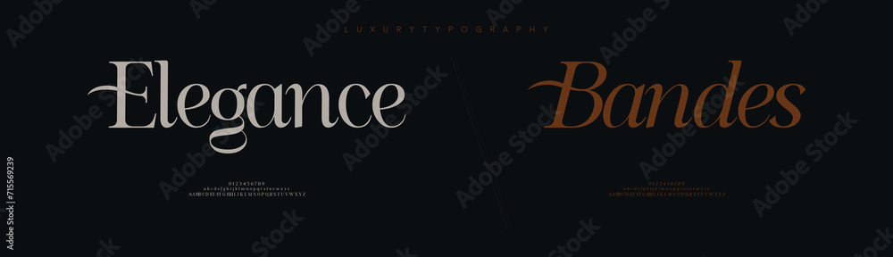 Elegance bandes, elegant alphabet letters font logo typography luxury ...