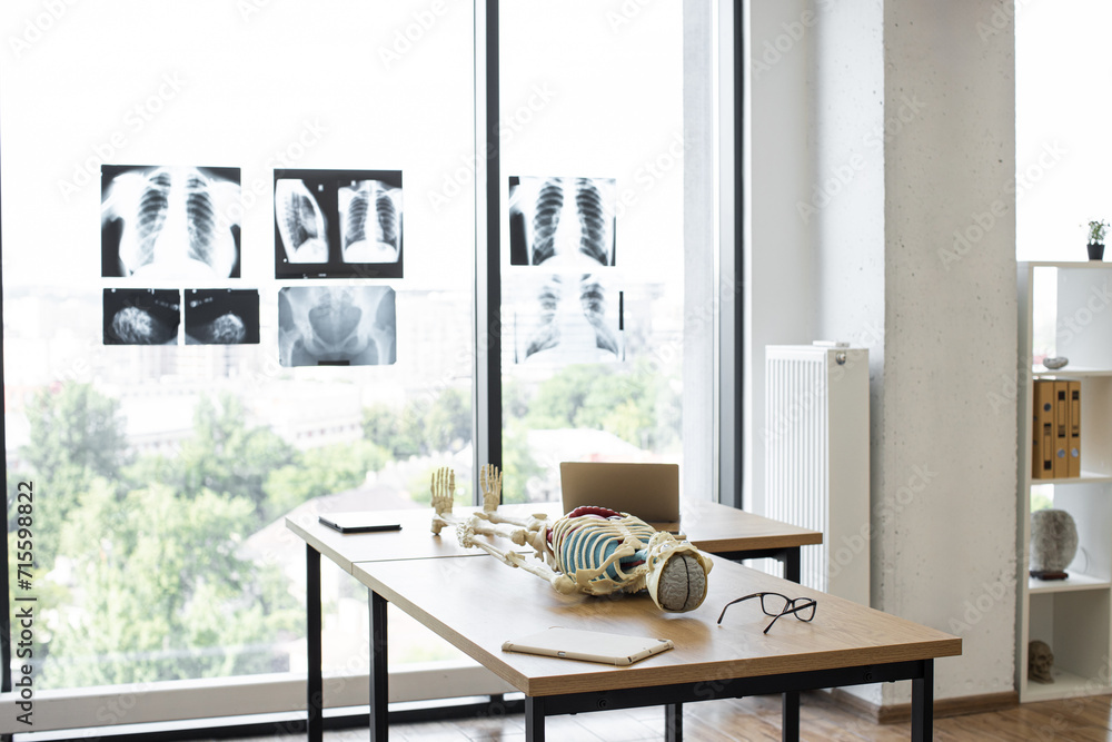 Skeleton with organs, brain, bones, joints. Model of a variety of human ...