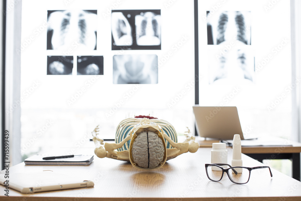 Skeleton with organs, brain, bones, joints. Model of a variety of human ...