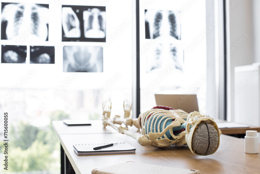 Model of a variety of human body parts in doctor office. 3D model of ...