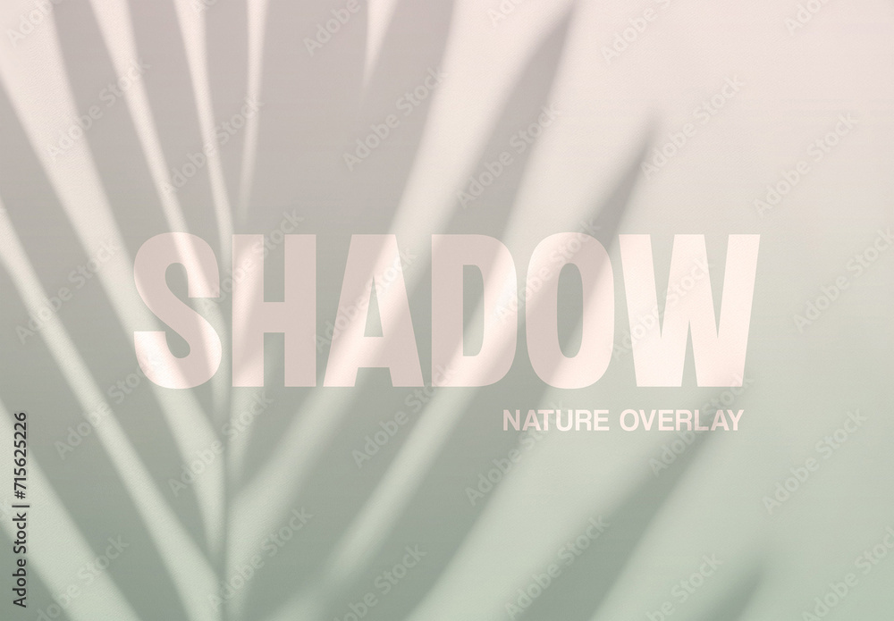 Photorealistic Leaf Shadow Overlay Texture Stock Template | Adobe Stock
