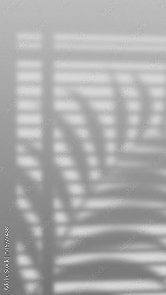 Vidéo Stock Moving leaves and window shadow overlay under sunlight ...