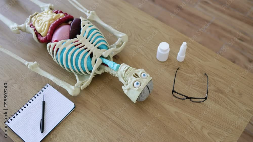 3D model of human skeleton with organs lies on table of universities ...