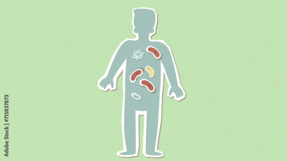 plasma, microbiology, cross section, cell, body, tissue, structure ...