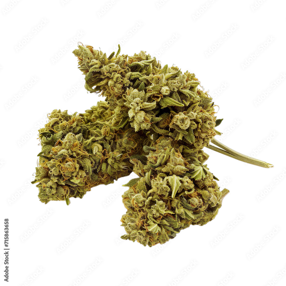 Cannabis Bud, Leaf, Marijuhana, isolated, transparent background, png ...