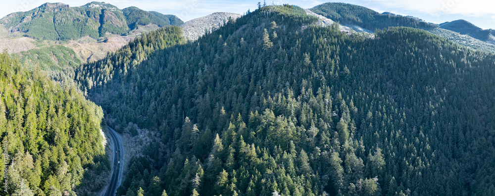 Foto de Seen from the air, thick forest covers the Oregon Coast Range ...