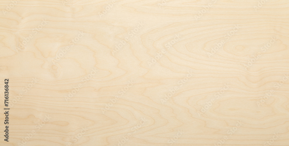 High key birch wood plank natural texture, plank texture background ...