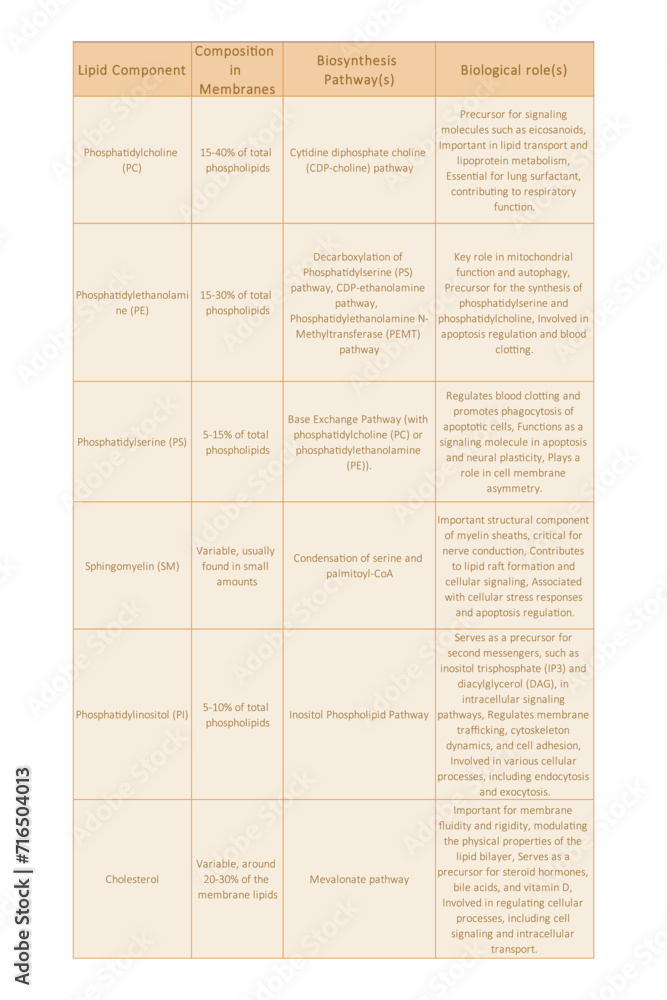 Table showing Phospholipids types, membrane composition, biosynthesis ...