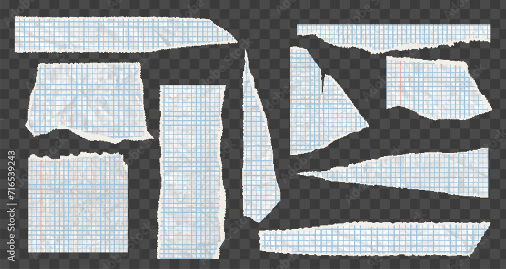 Torn ripped notebook papers, Cut sheets with square grid, cutout ...