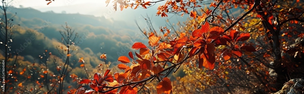 Autumn Glow: Sunset and Amber Light Wallpaper and Design, Generative AI ...