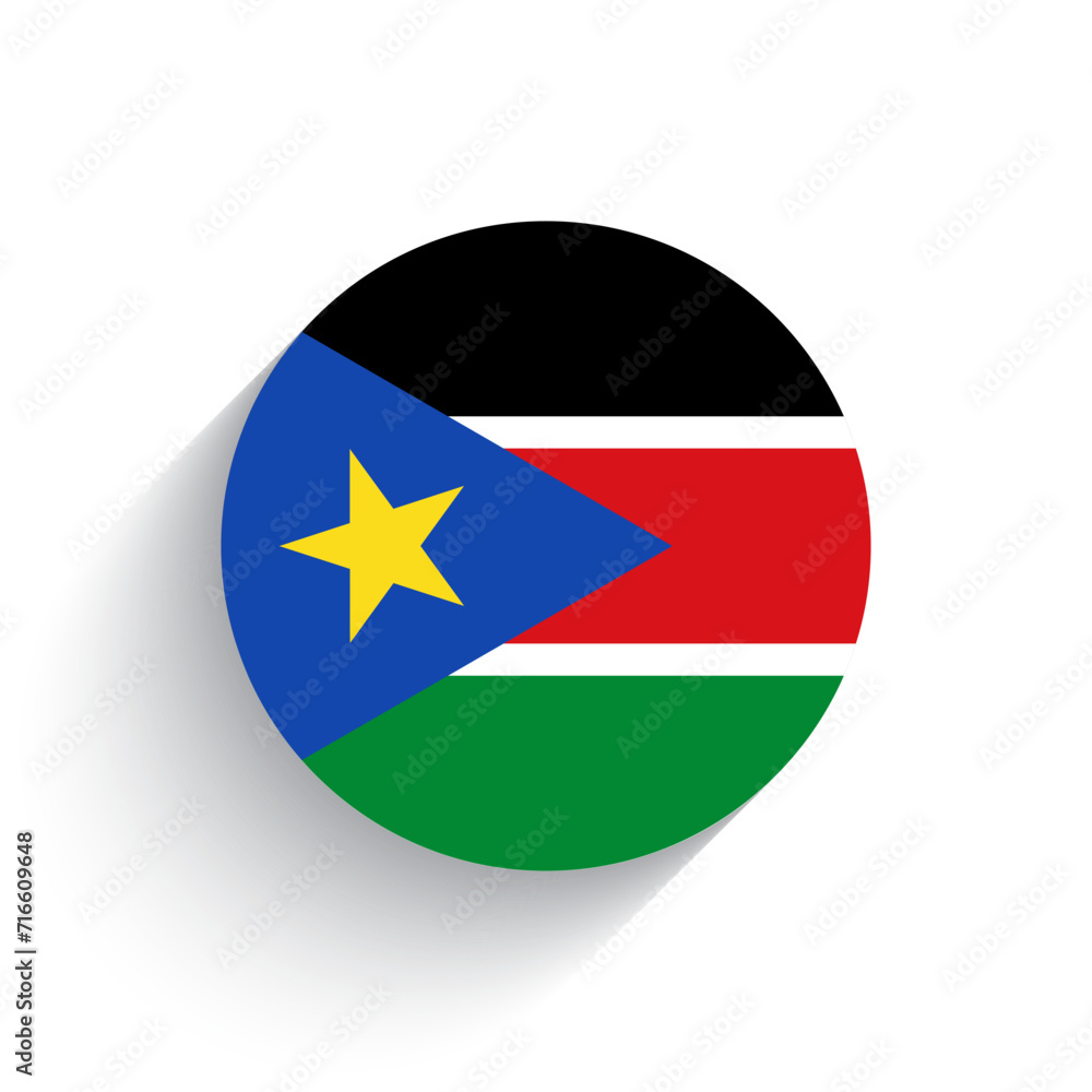 National flag of South Sudan icon vector illustration isolated on white ...