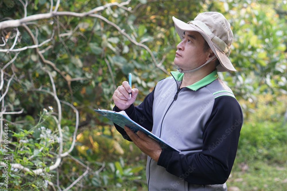 Asian man botanist is exploring bonanical plants in forest. holds paper ...