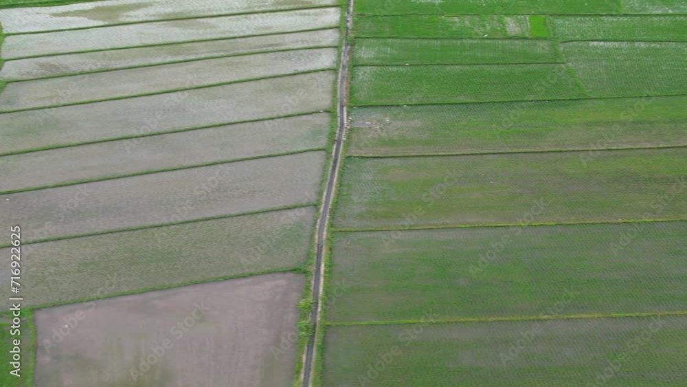 Vertical drone footage of Rice Terraces in the Countryside, Bone ...