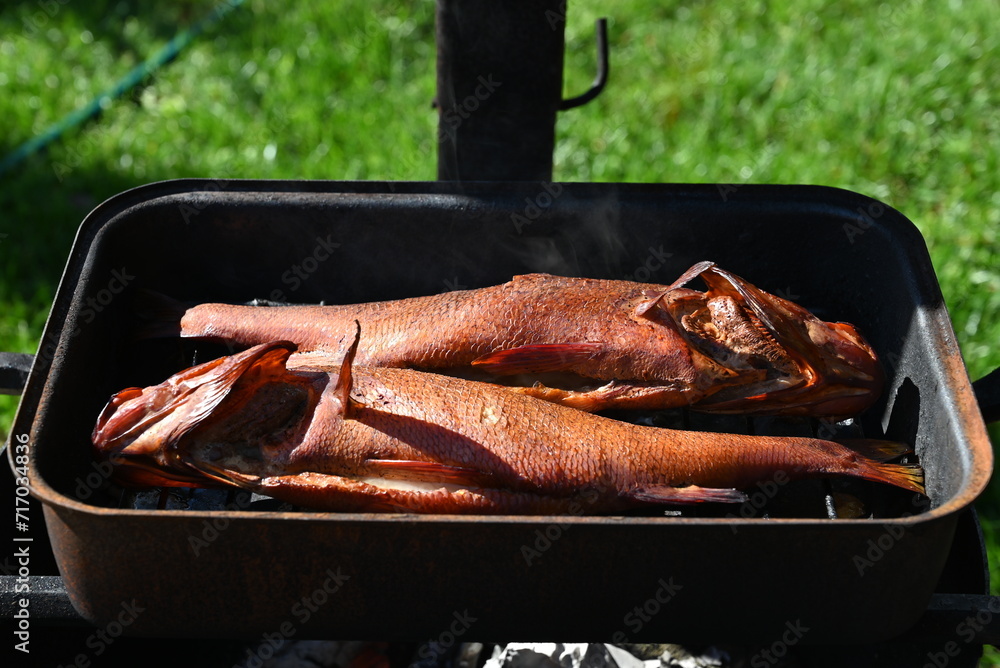 Smoked fish in smokehouse box. Hot smoked river bass fish cooked with ...
