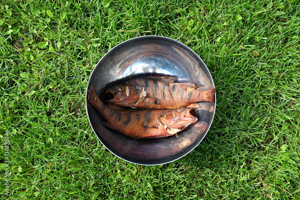 Smoked fish in smokehouse box. Hot smoked river bass fish cooked with ...