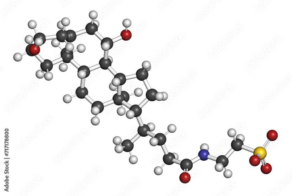 Tauroursodeoxycholic acid (TUDCA) molecule. Conjugate of taurine and ...