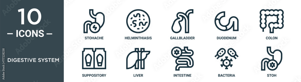 digestive system outline icon set includes thin line stohache ...