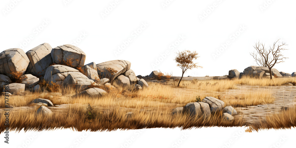 Savanna Serenity: Isolated Rocks Amidst Fading Grass, Panoramic African ...